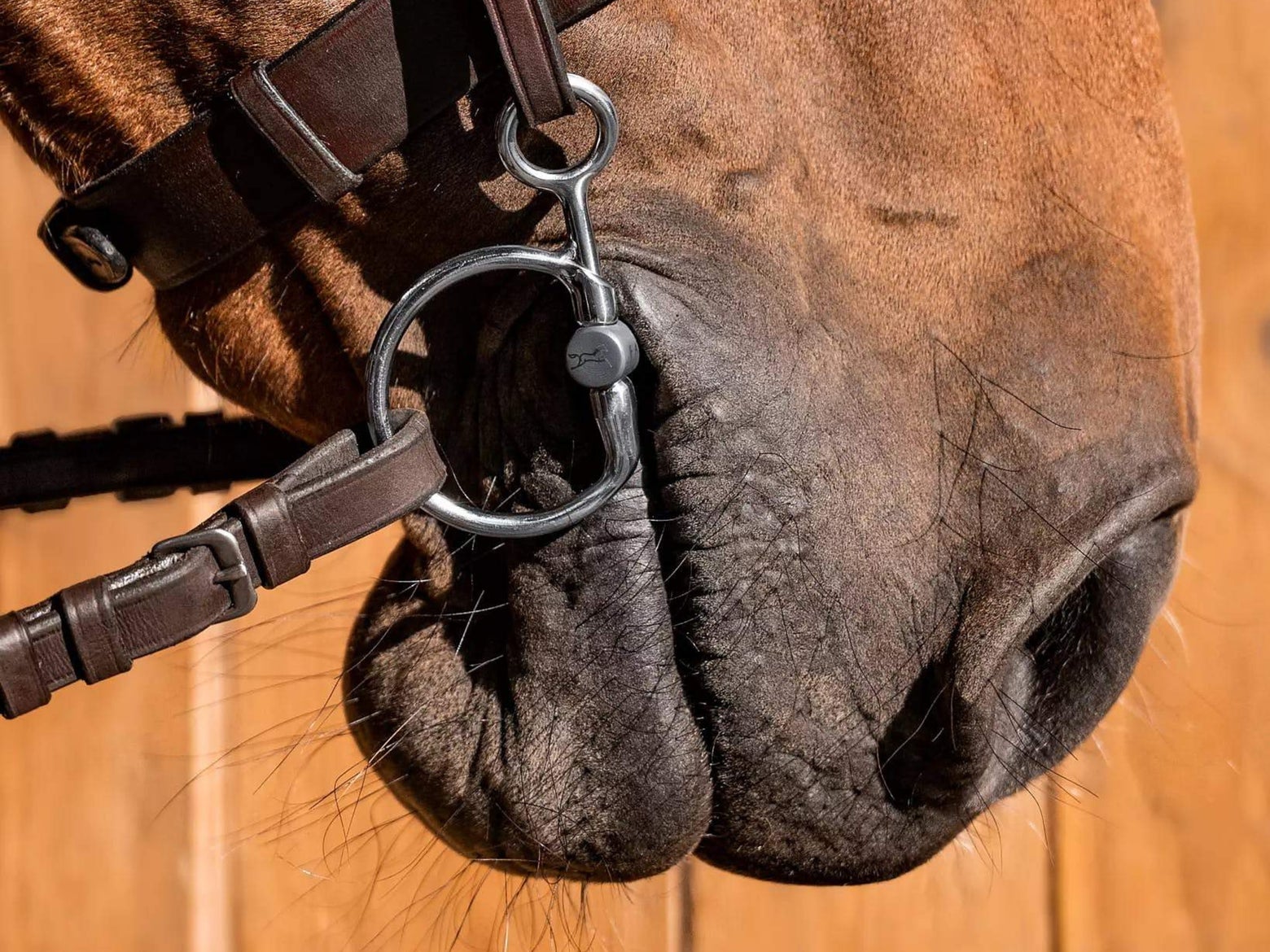 Fager Bit Buying Guide | Riding Warehouse