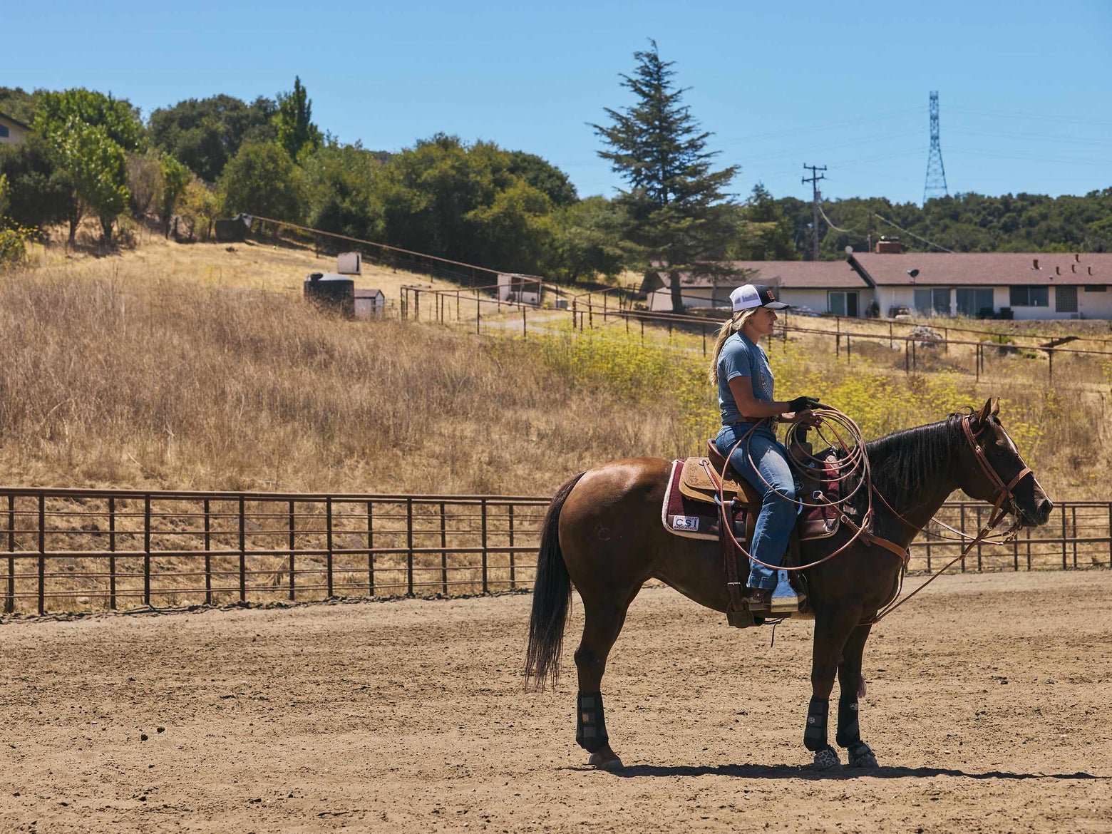 Breakaway Ropes & Team Ropes: A Buying Guide | Riding Warehouse