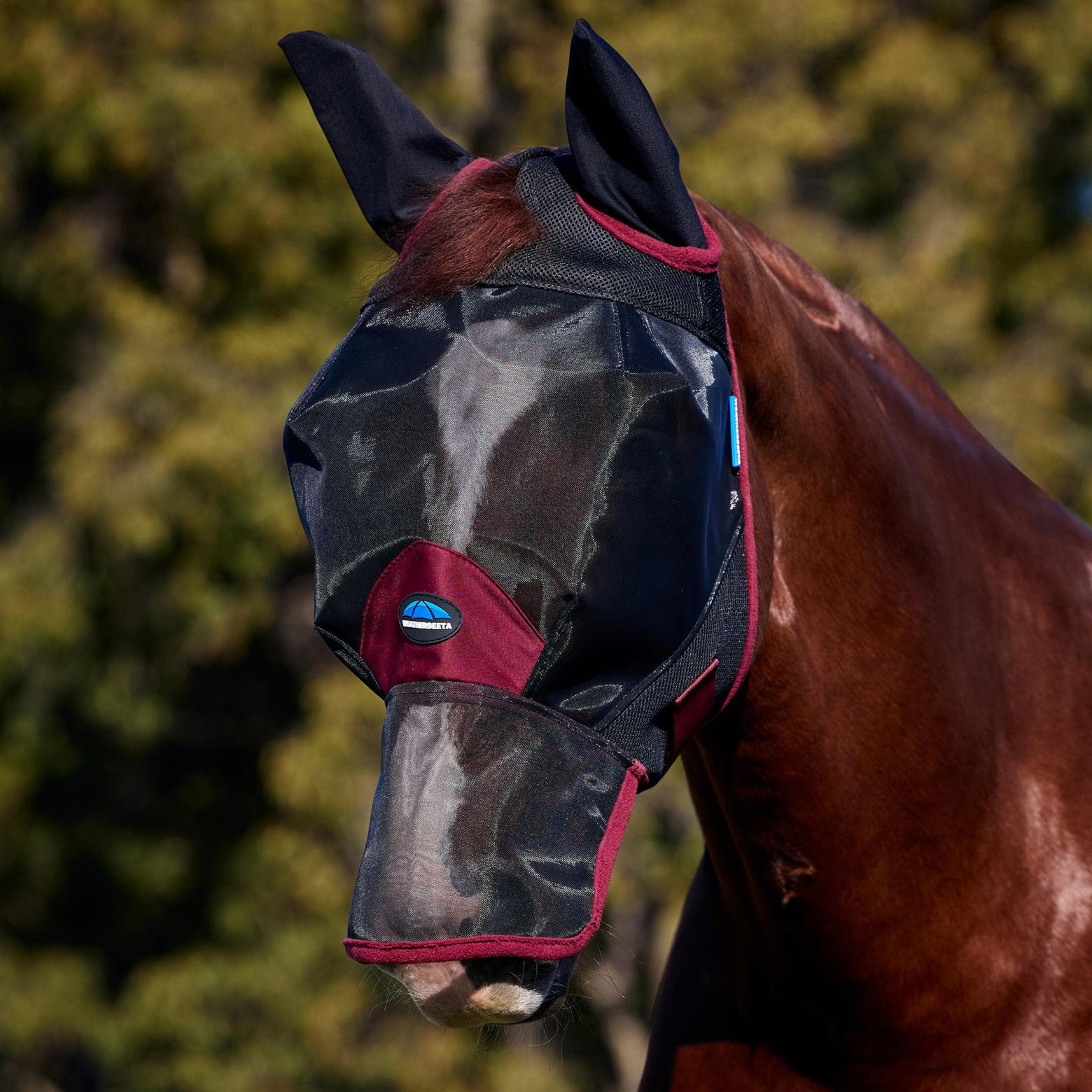 Best Horse Fly Masks of 2026 | Riding Warehouse