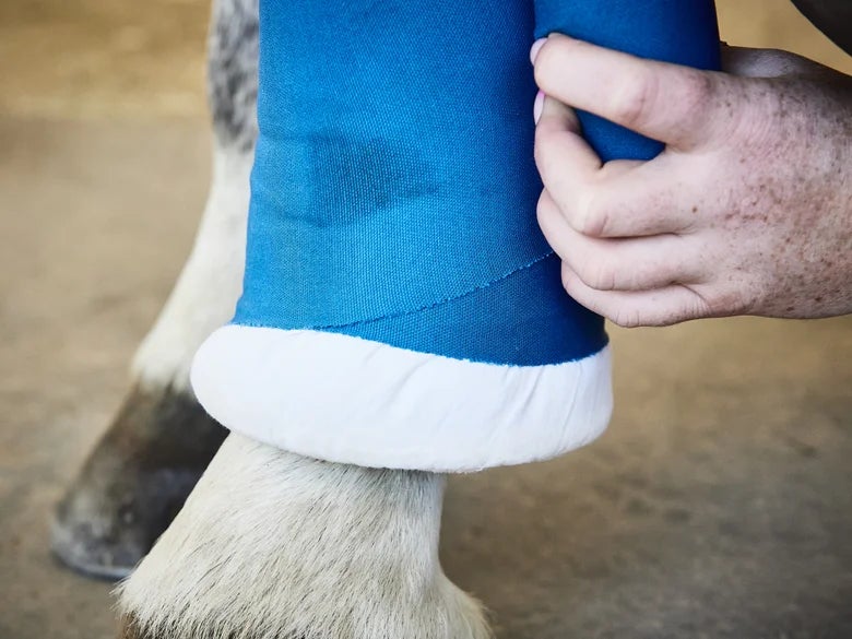 How to Apply Standing Wraps & Poultice a Horse Leg | Riding Warehouse