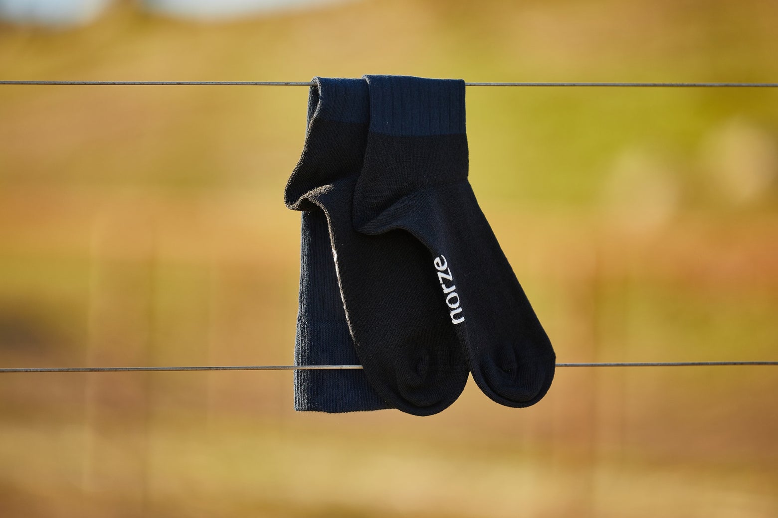 Best Winter Equestrian Socks of 2025 | Riding Warehouse