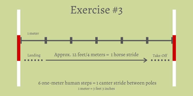 How to Set Ground Pole Exercises for Your Horse | Riding Warehouse