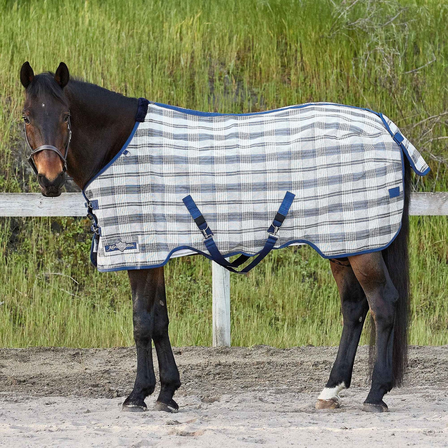 Best Horse Fly Sheets of 2025 | Riding Warehouse