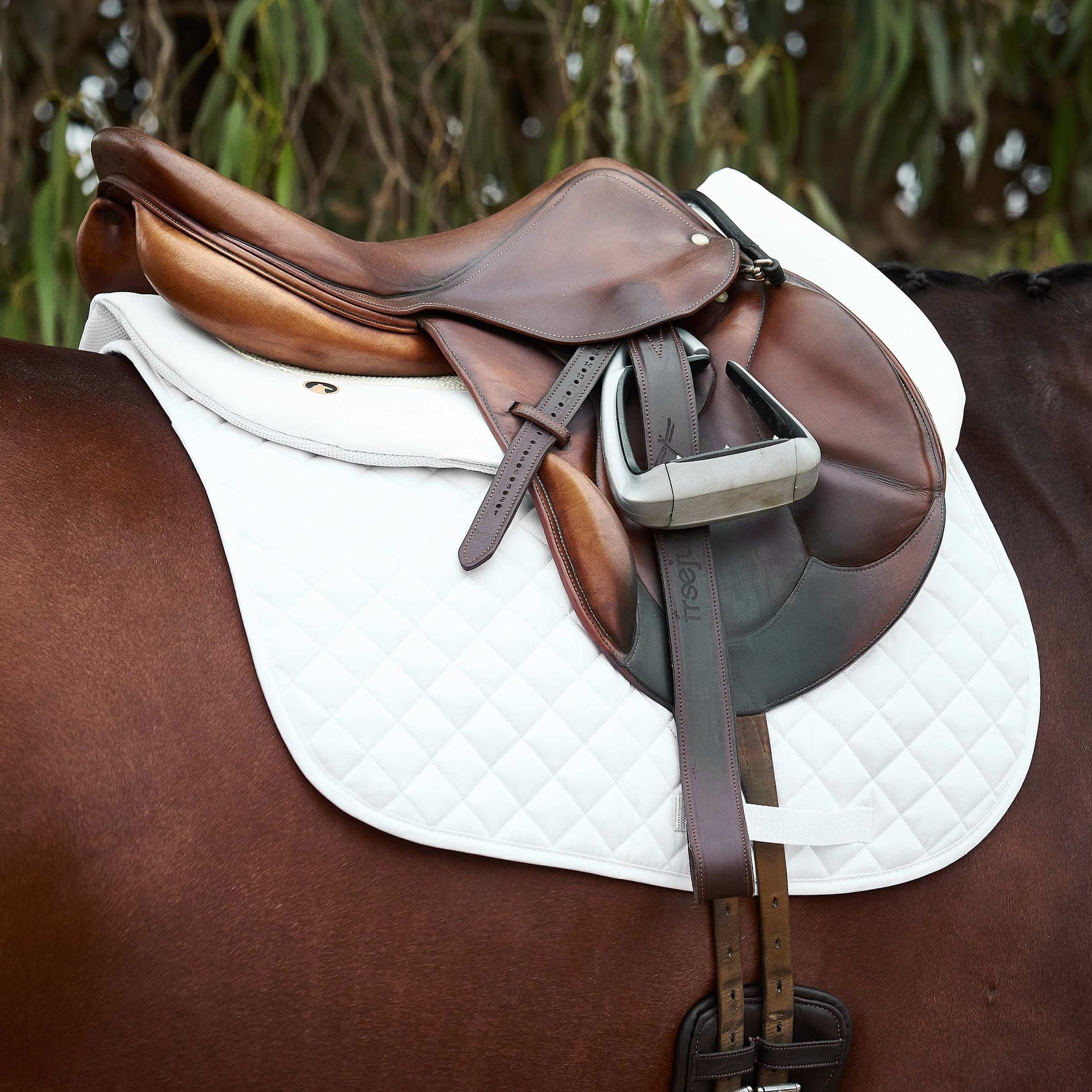Best English Riding Stirrups