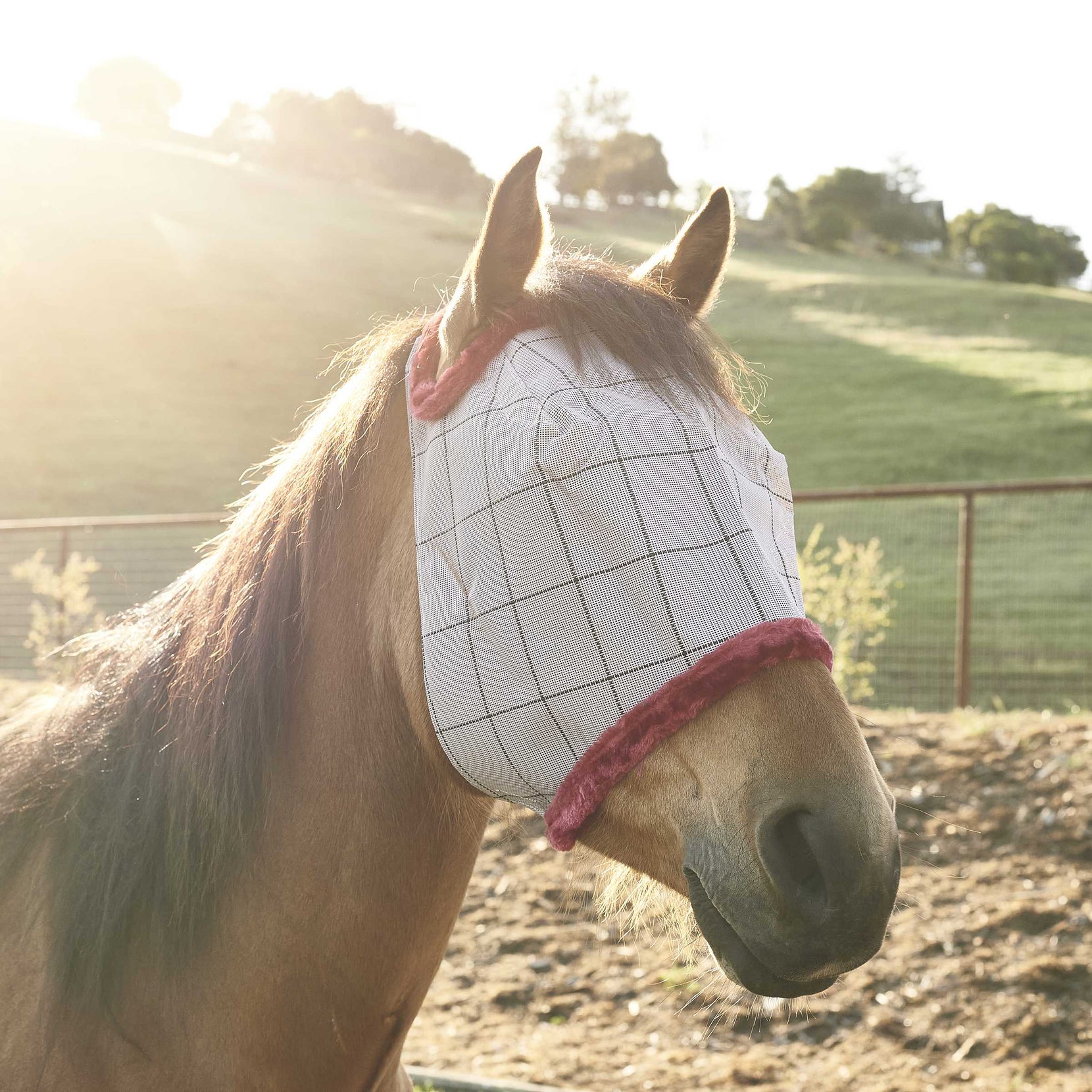 Best Fly Masks: A Buying Guide for Horse Owners