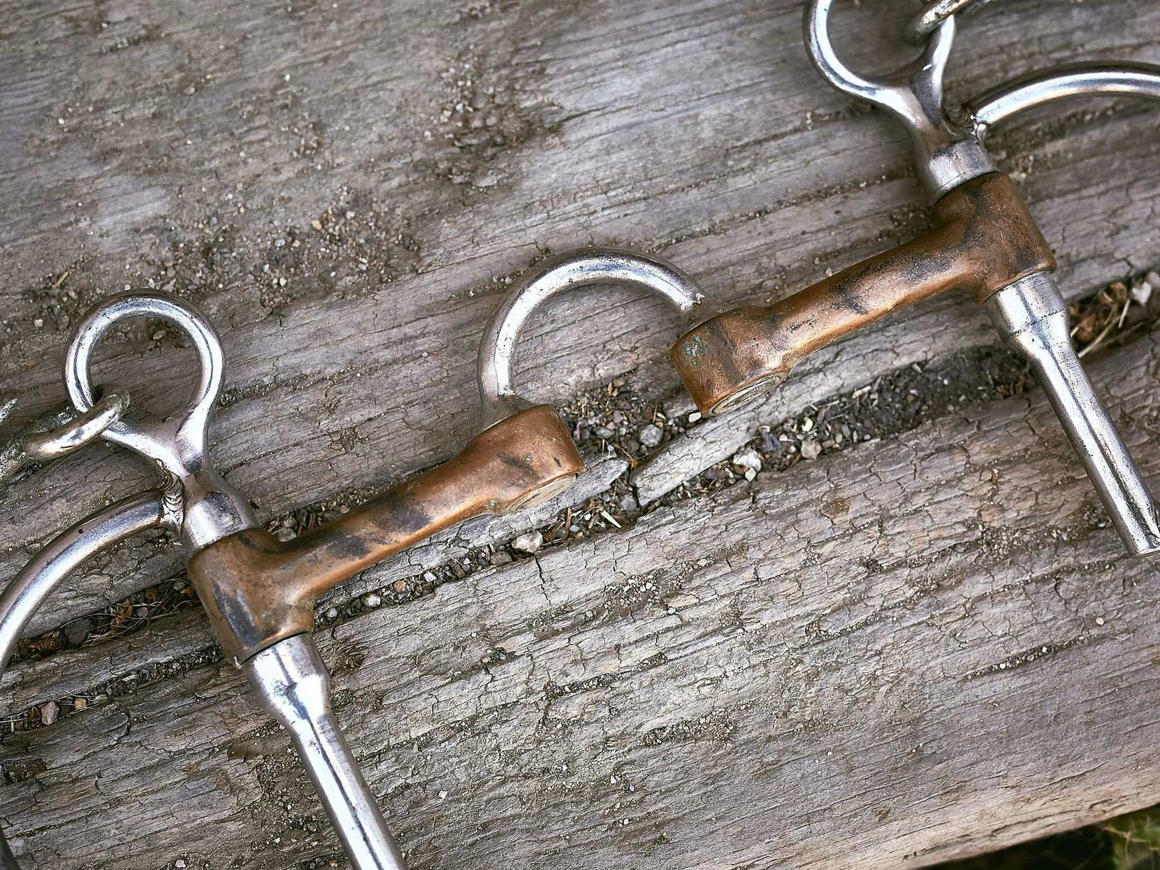 Types of Bit Mouthpieces