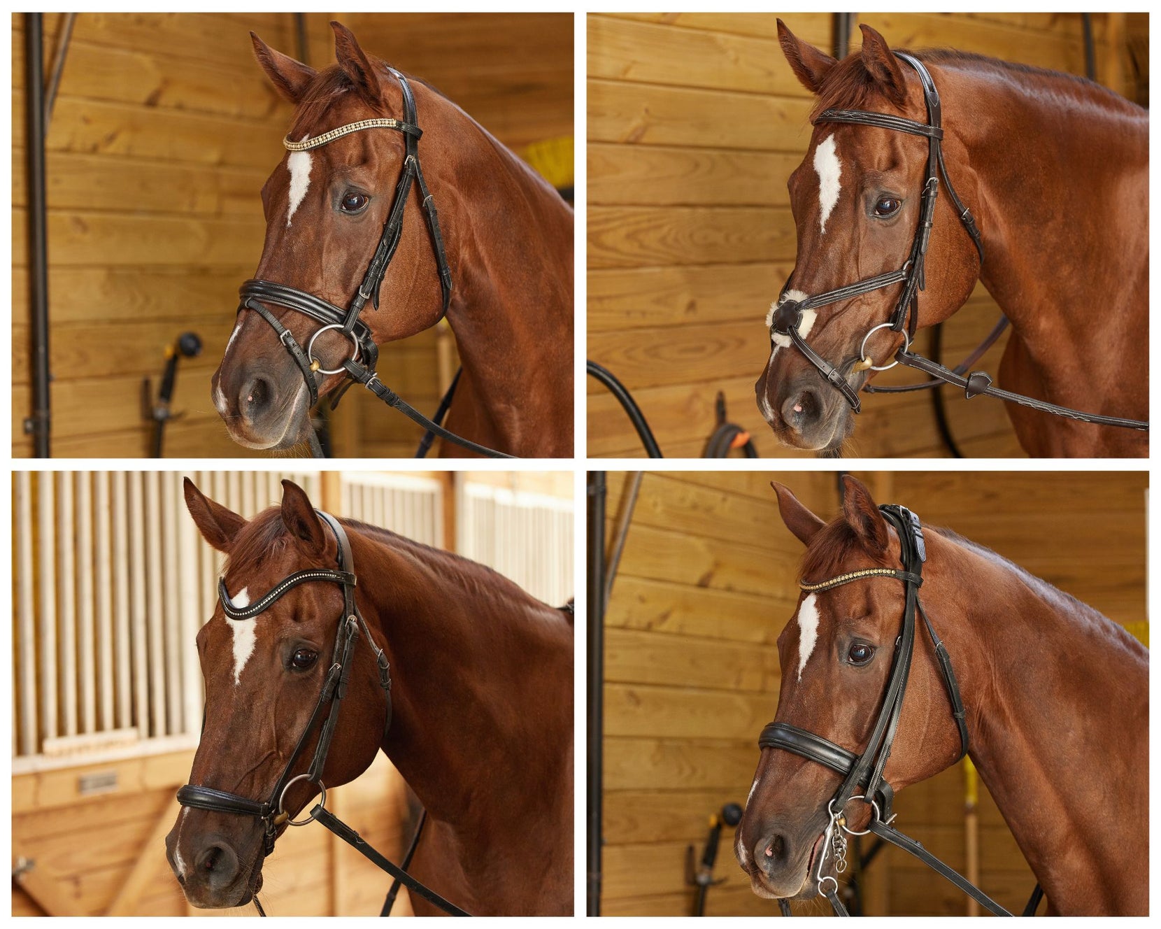 How to Measure & Fit an English Bridle