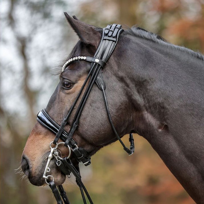 Best English Bridles of 2023