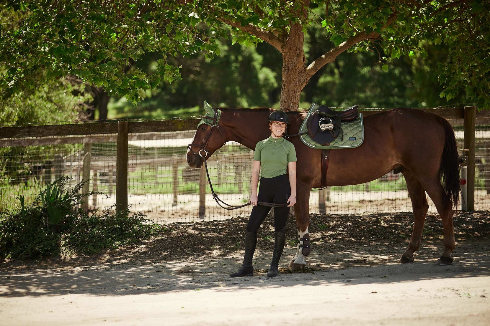 English Saddle Pad Buying Guide: Types, Materials, & Features