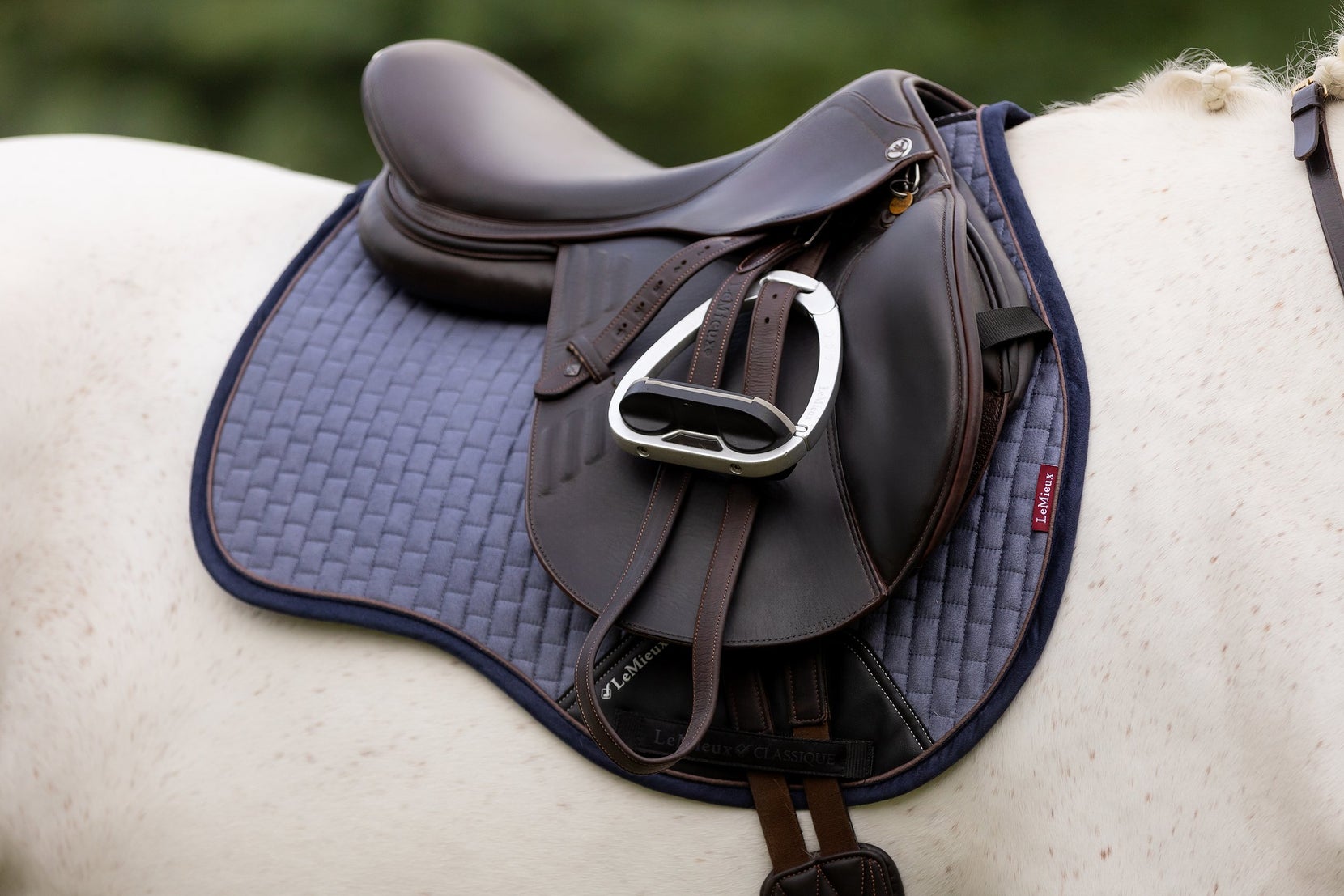 English Saddle Pad Buying Guide: Types, Materials, & Features