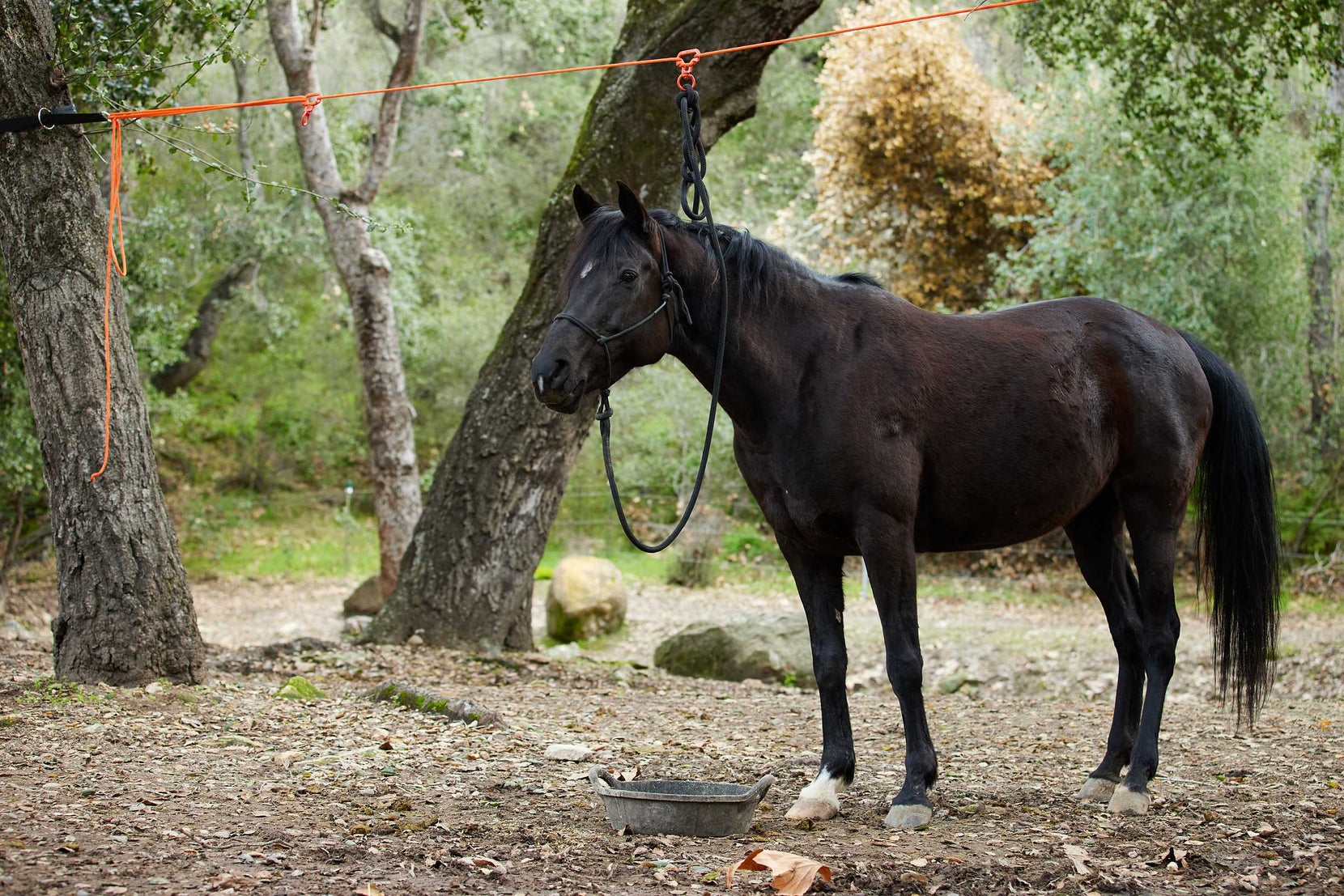 How to Set Up A High Line System