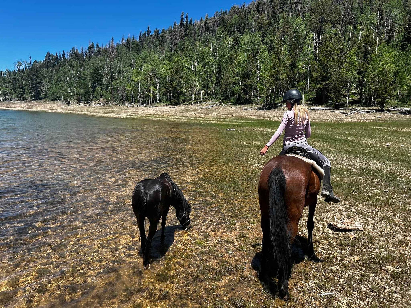 Heat Conditioning the Endurance Horse & Rider