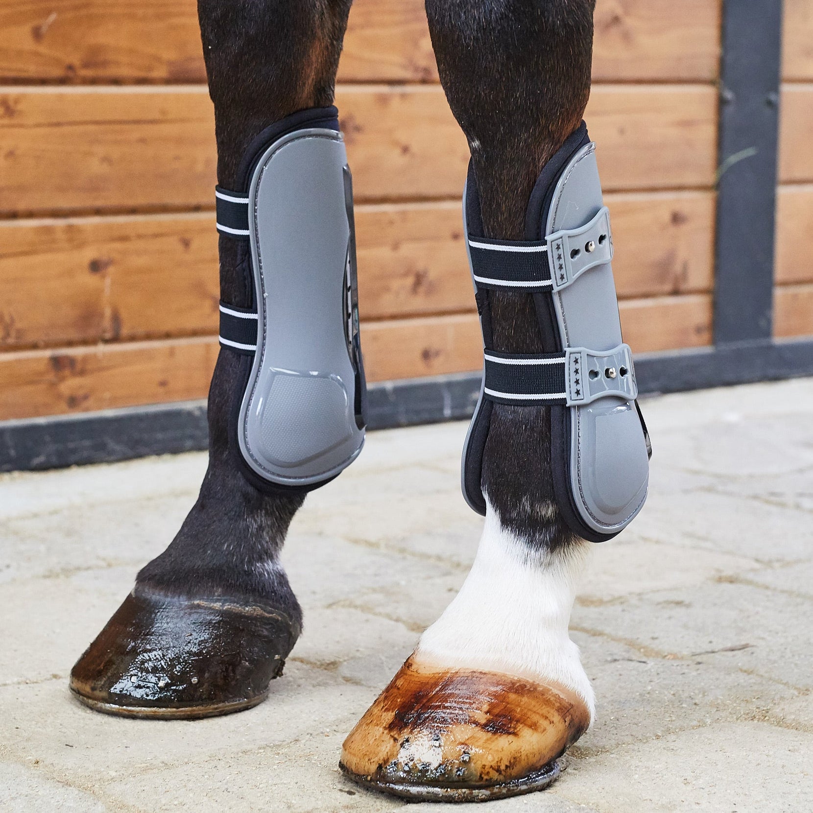 Best Professionals Choice Boots