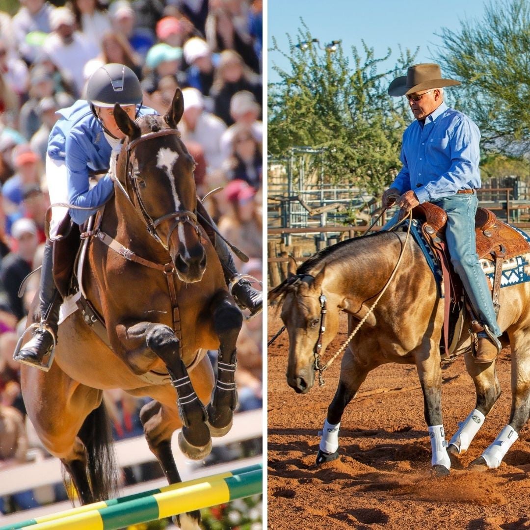 Best Professionals Choice Boots