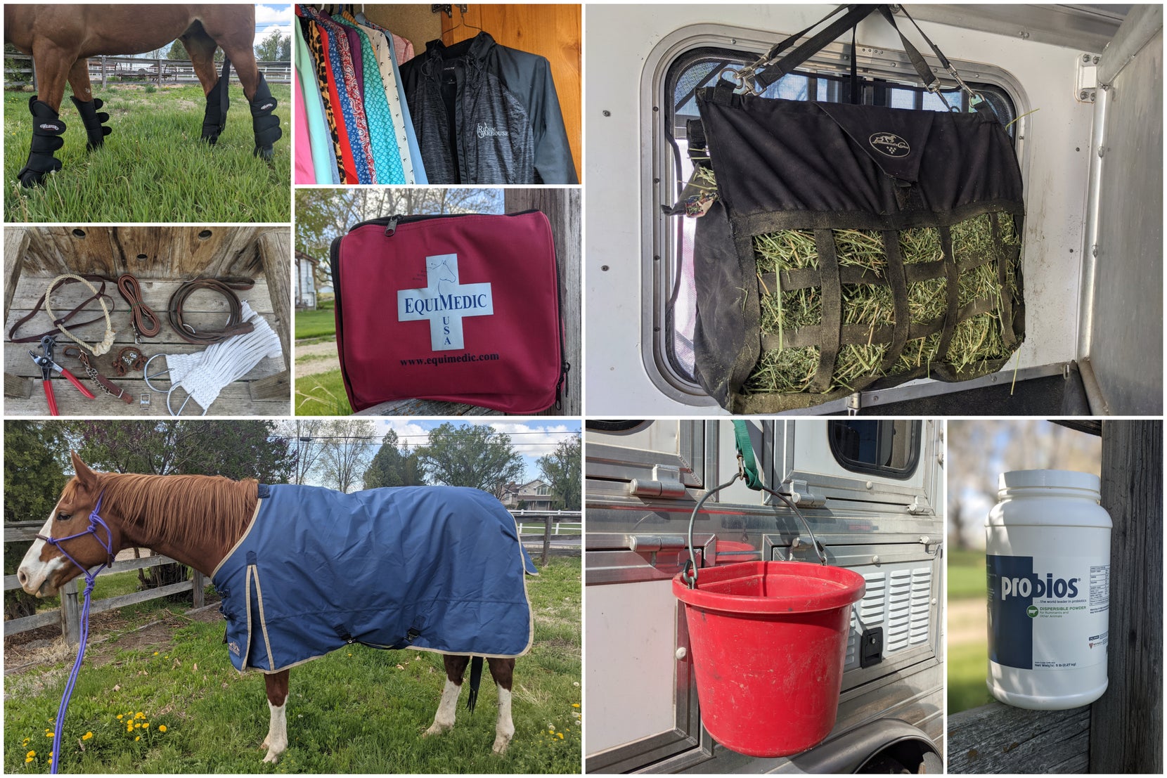 Horse Trailer Travel Essentials by Renae Cowley