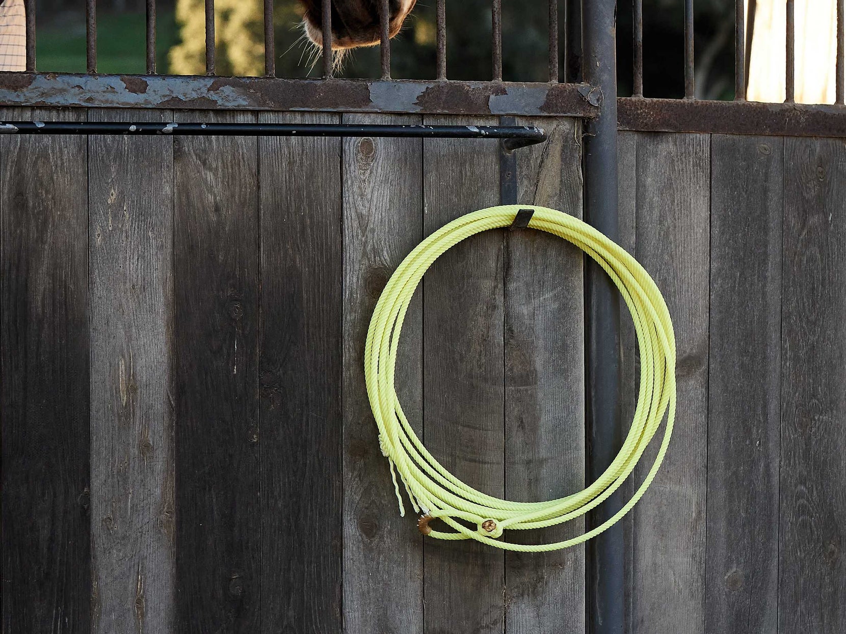 Best of Team Ropes & Breakaway Ropes for 2022