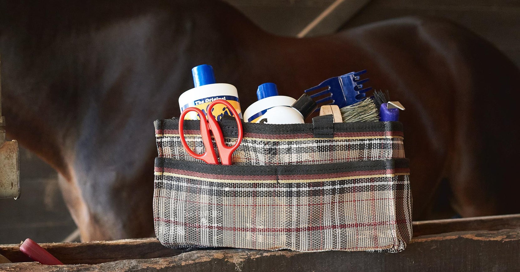 Winter Horse Grooming Guide