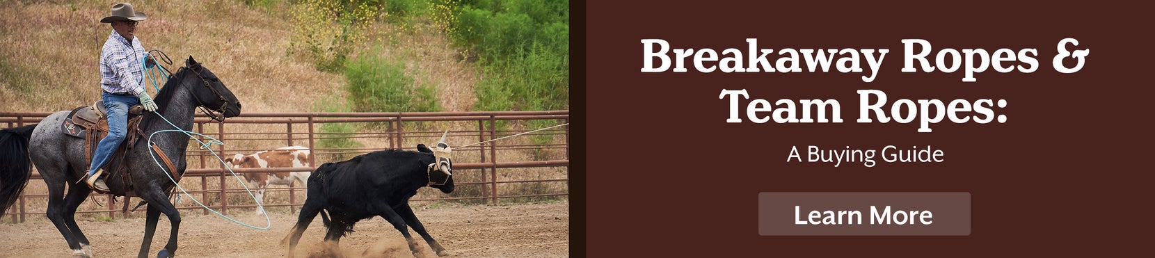 Best Breakaway, Team, & Ranch Ropes