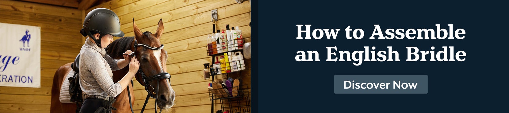 How to Measure & Fit an English Bridle