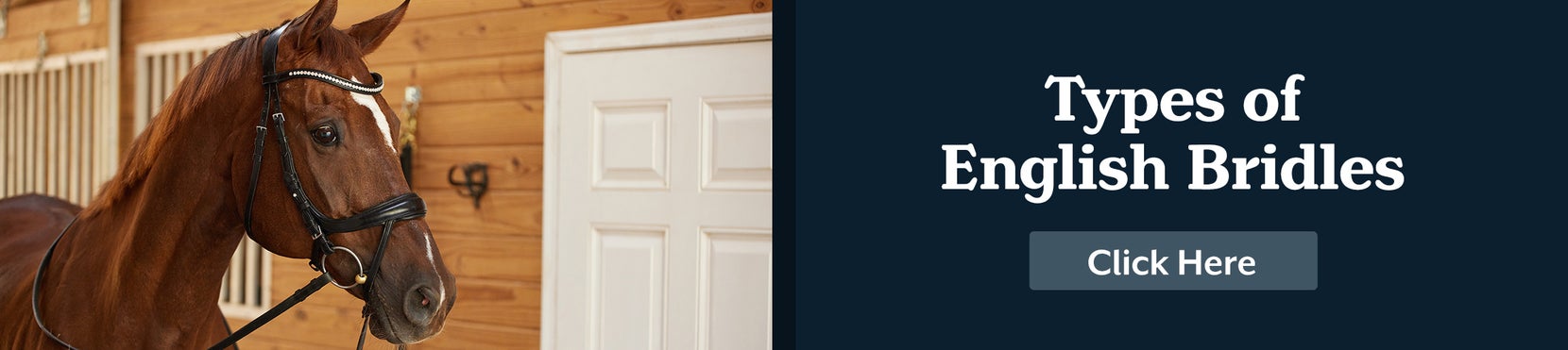 How to Assemble an English Bridle