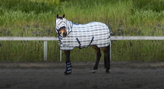 Horse Standard Neck Fly Sheets - Riding Warehouse