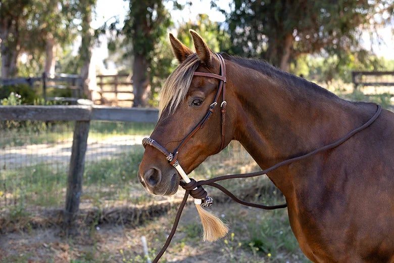 western bridle snaffle