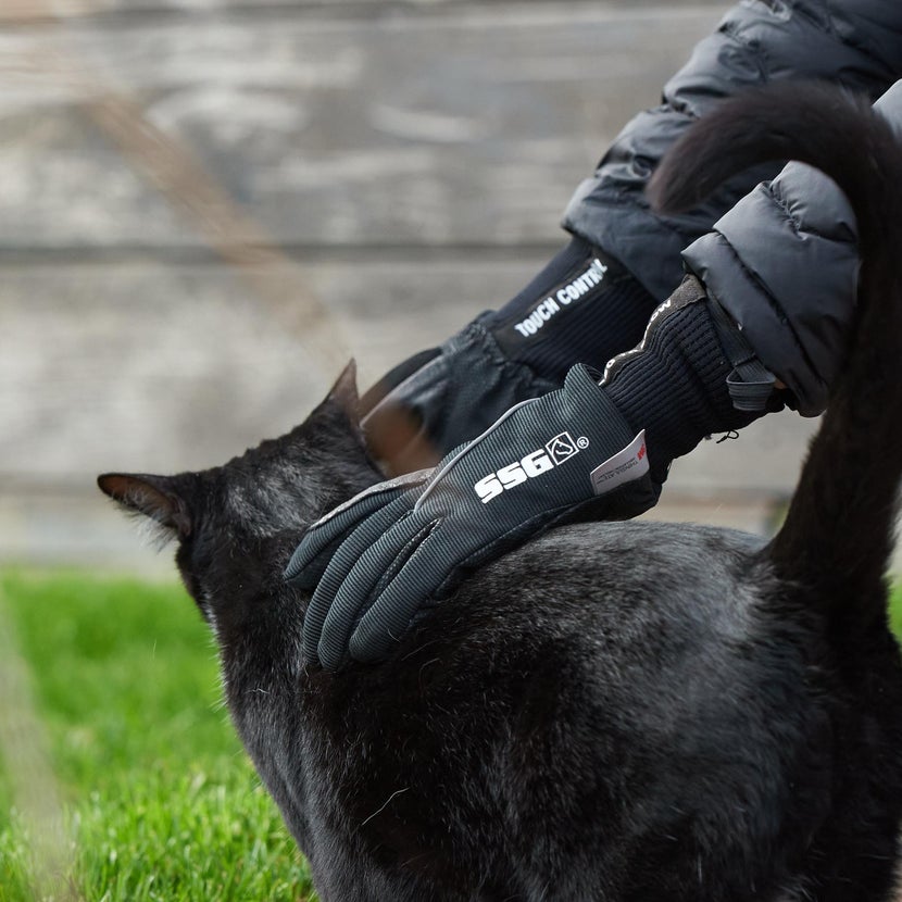 Best Winter Riding Gloves