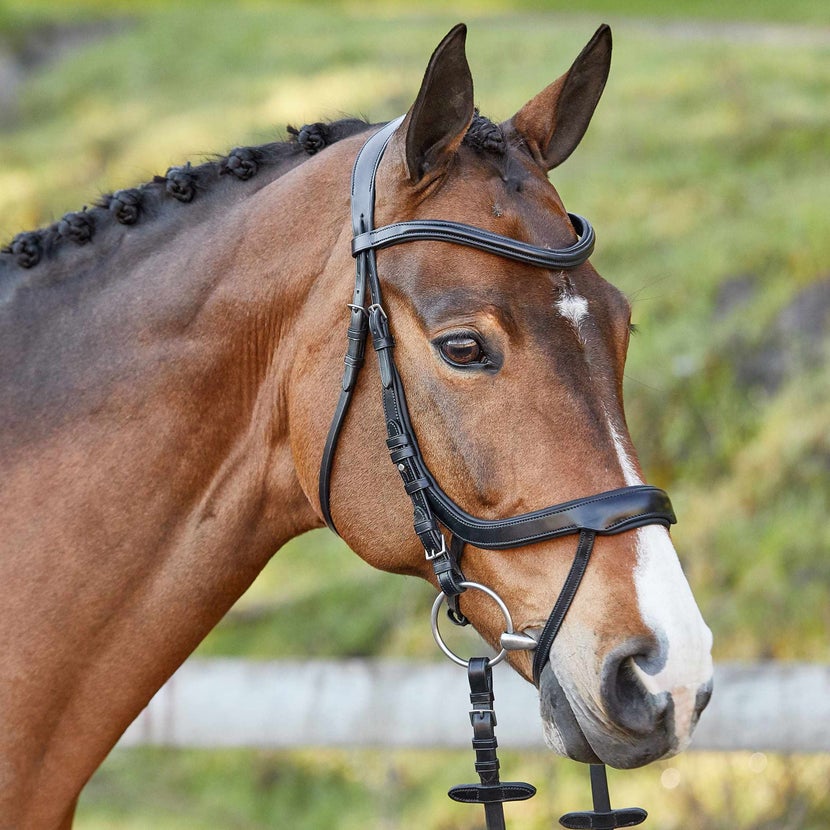Best English Bridles of 2023