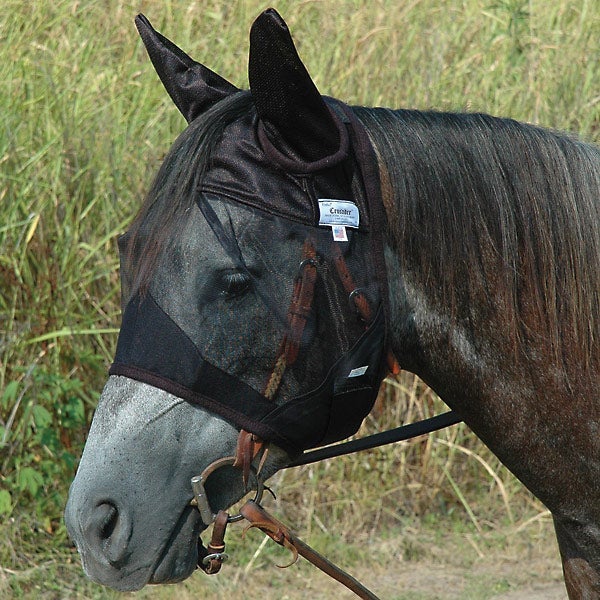 Best Fly Masks of 2021: A Buying Guide for Horse Owners