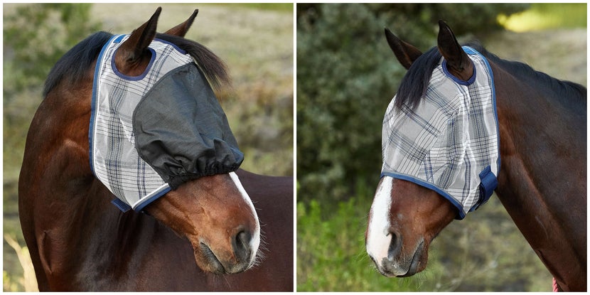 Kensington Fly Sheets, Masks, & Boots Guide