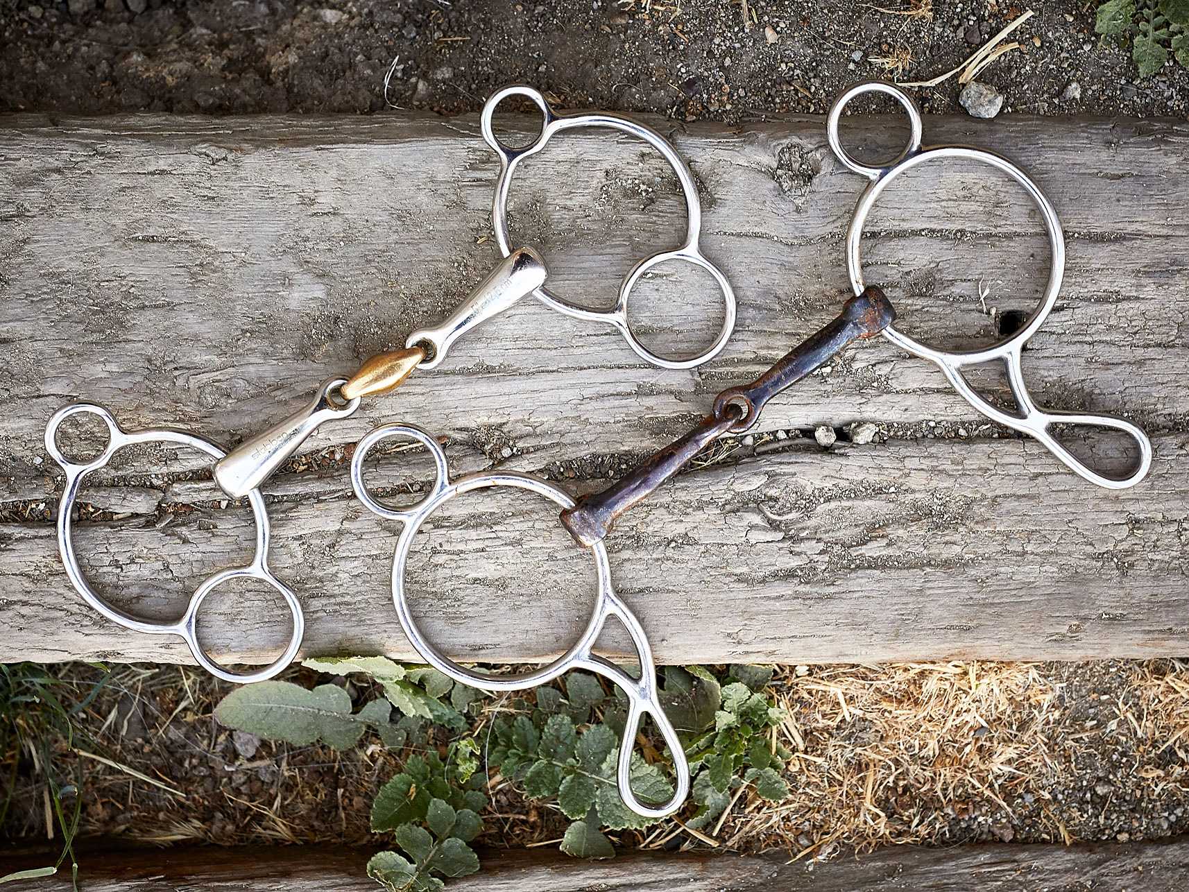 Types of gag bits - sbooksere