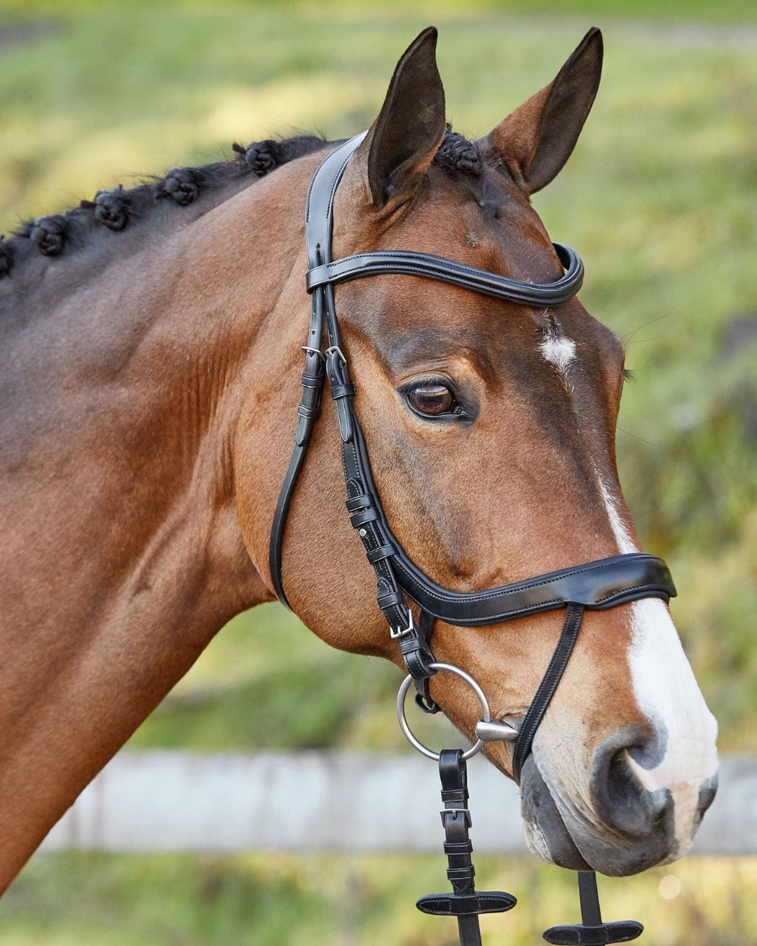 How to Choose the Best Bridle for Your Horse | Riding Warehouse
