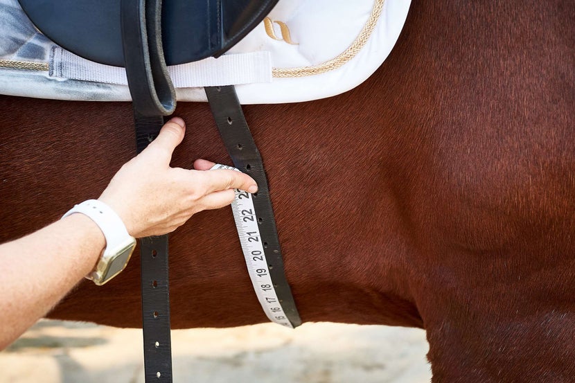 How To Measure Size And Fit A Dressage Girth For Horseback Riding How To Measure Size And Fit A Dressage Girth For Horseback Riding